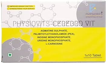Physiovits Cerebrovit Tab 10s - pharmville
